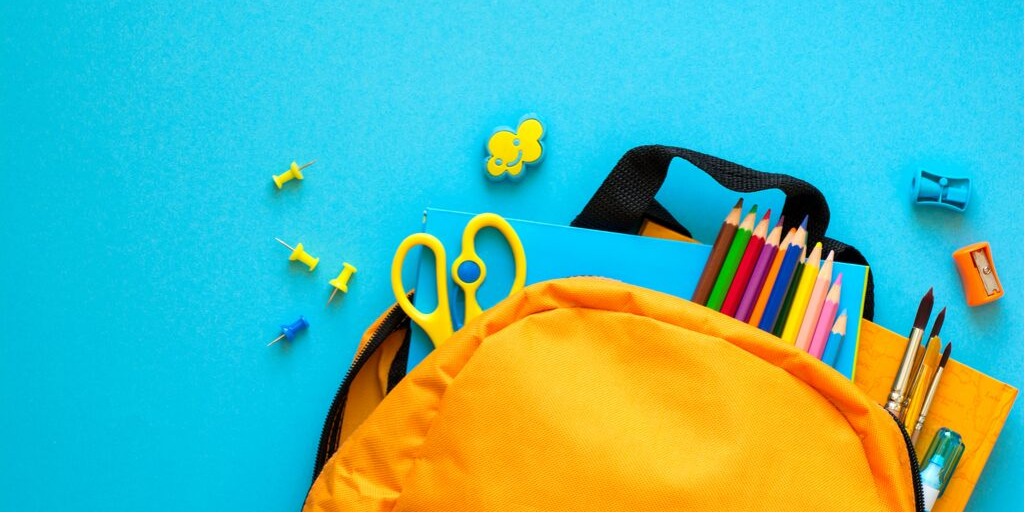 WIMS School Portal | Walk in My Shoes